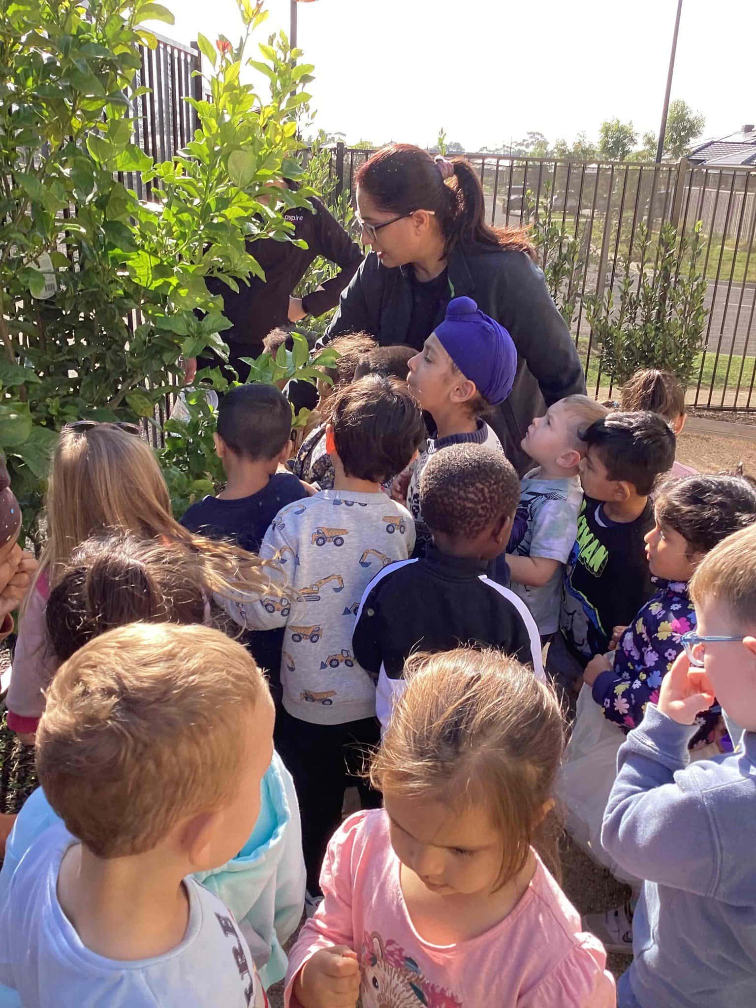 Structured Learning, Thornhill Park’s Incursion Program | Aspire Early ...