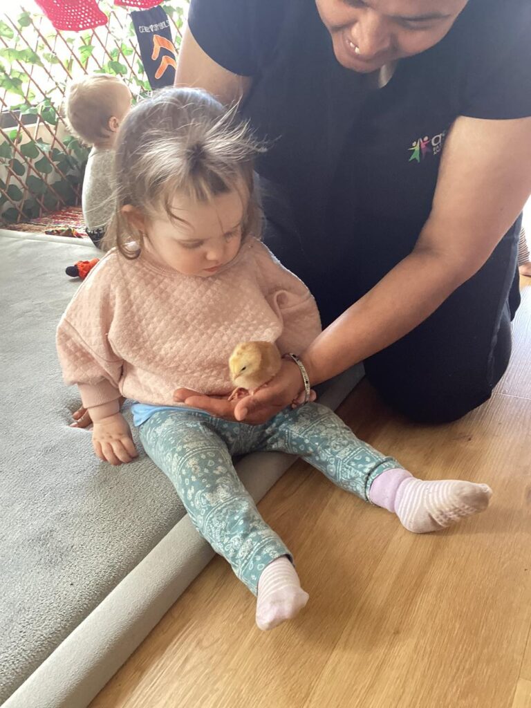 Henny Penny Hatching Program at Aspire Beveridge | Aspire Early Learning