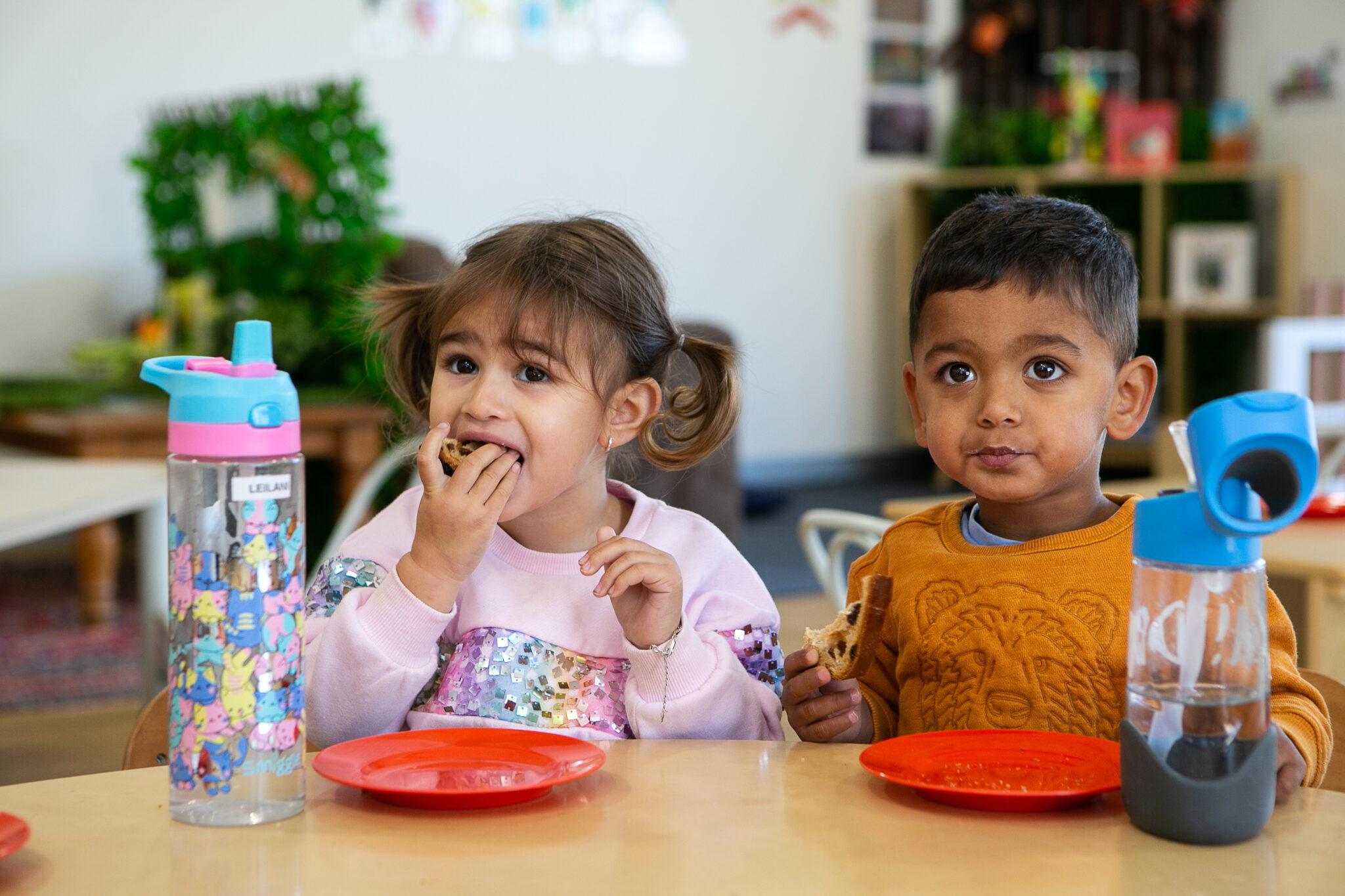 The Benefits of Cooking Programs in Early Childhood Education